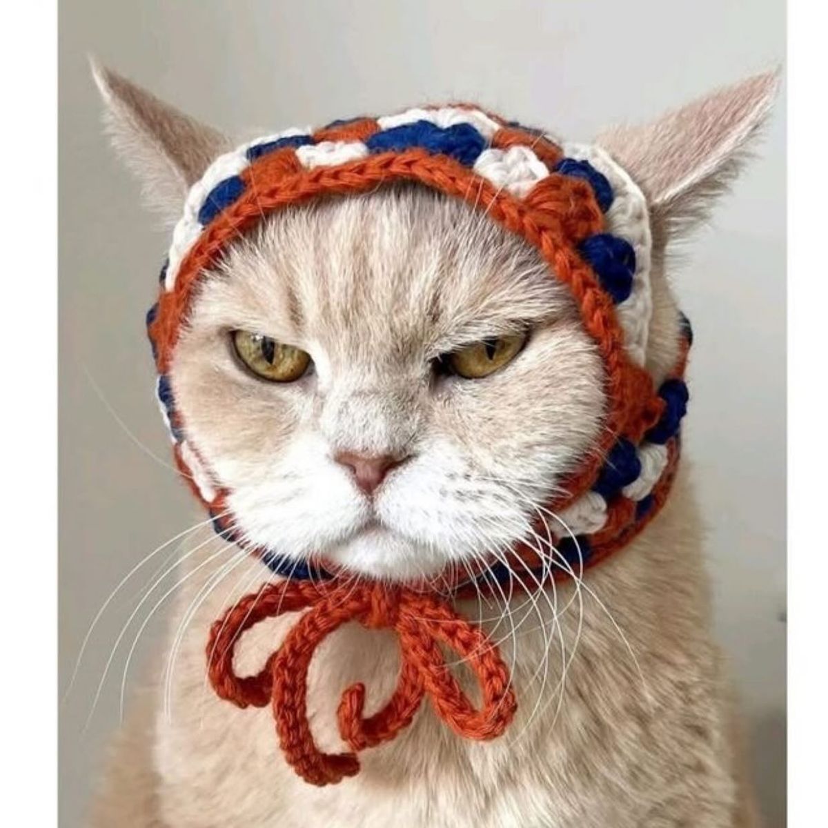 Crochet Hat Tutorial for Cats - PATTERN